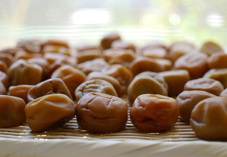 Homemade Sour Salted Plums: Easy Traditional Recipe